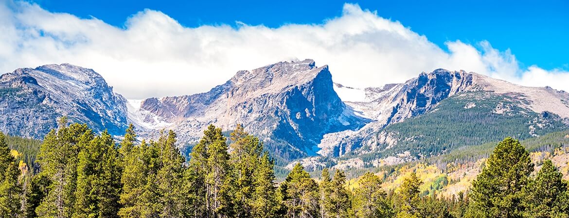 Why people love Panacea Life Sciences - Panacea Life Sciences