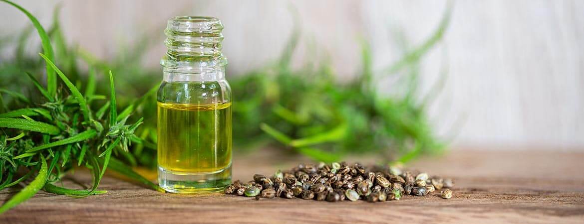 What to expect from full-spectrum CBD Oil - Panacea Life Sciences