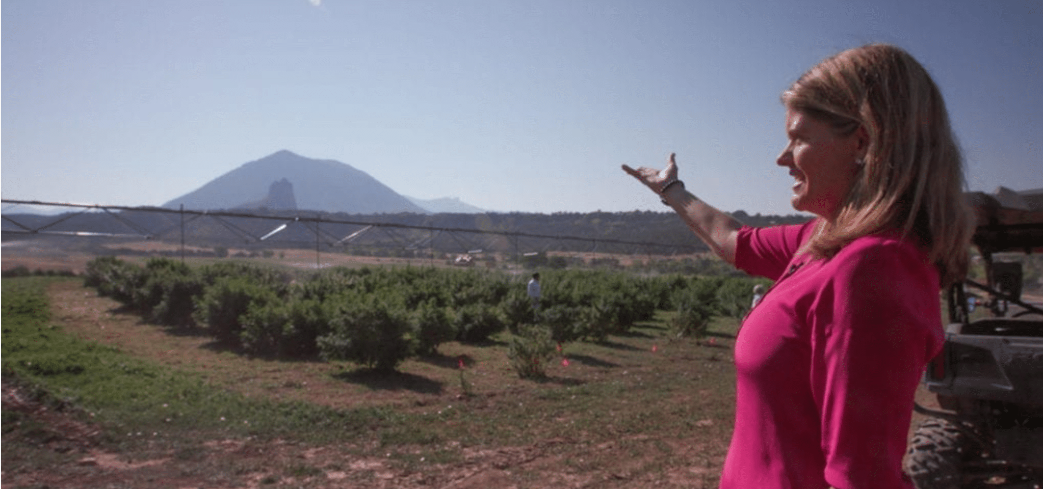 Panacea Life Sciences Acquires Colorado Hemp Farm to Complete Seed to ...