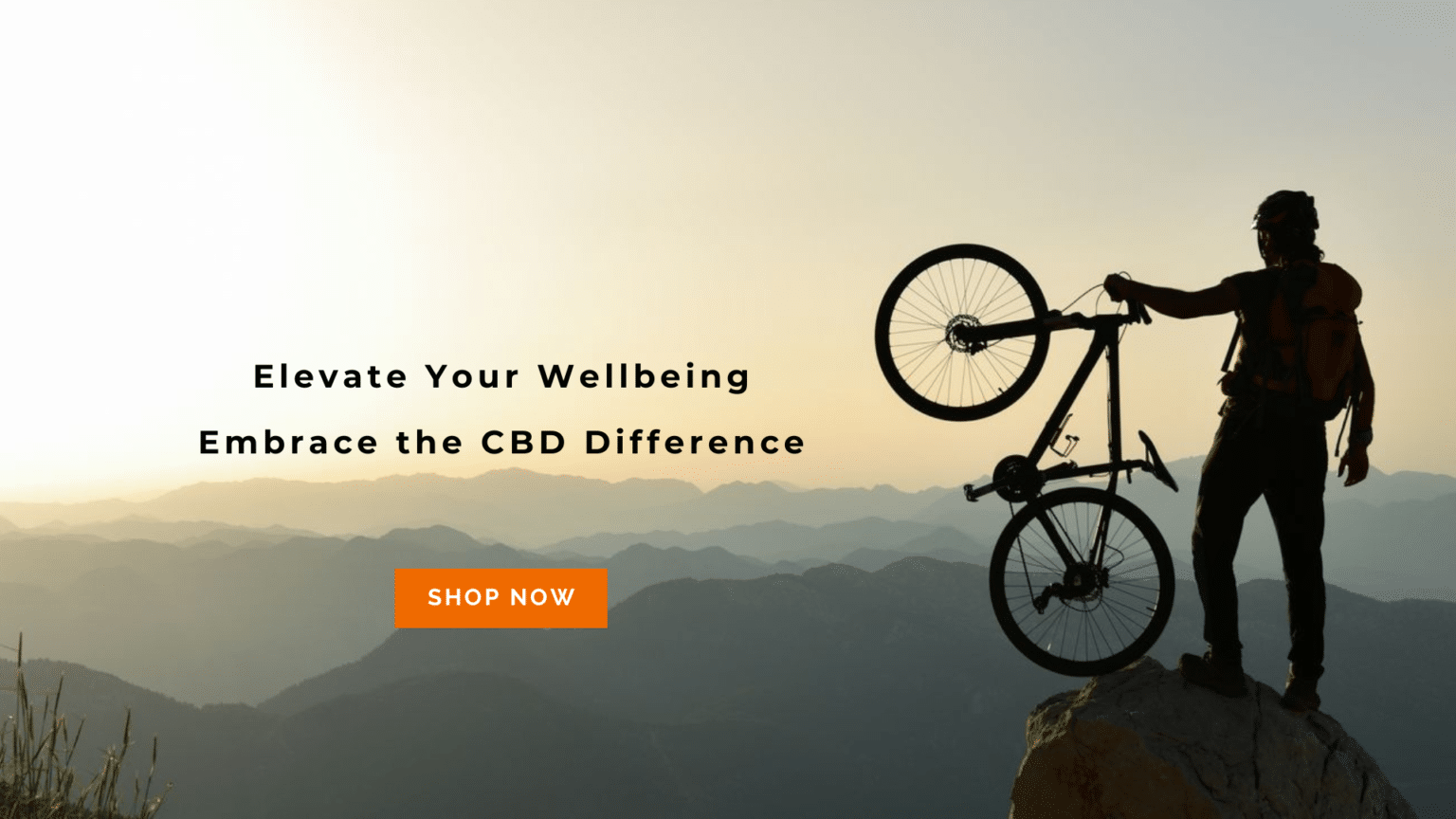 Buy CBD Oil from Panacea - the best affordable CBD you can trust